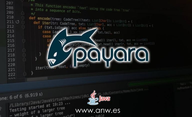 PAYARA server ;-) – ANW